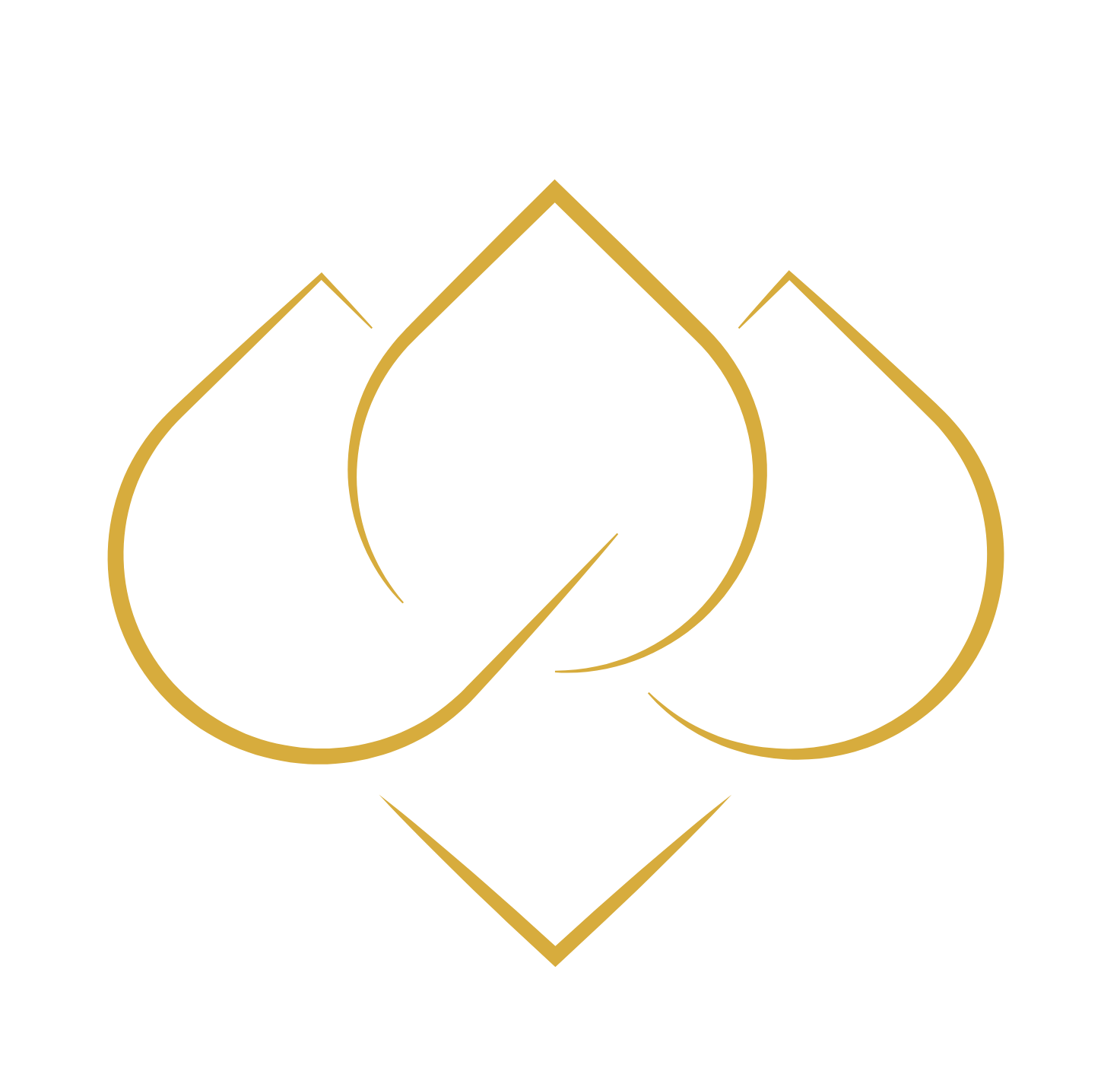 Maison Perla – Cuvées d'exception