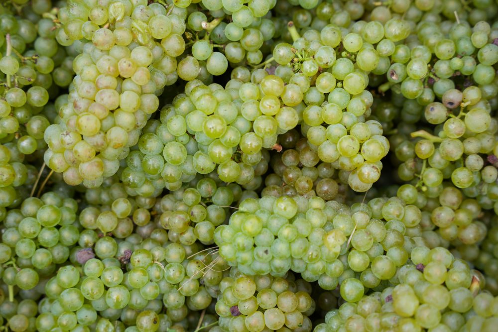 Archives des Information - Maison Perla